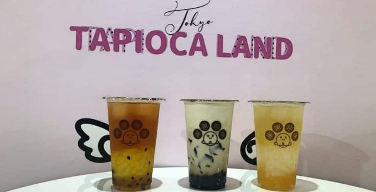 Tokyo Tapioca Land – A Bubble Tea Themed Park for Instagramers ...