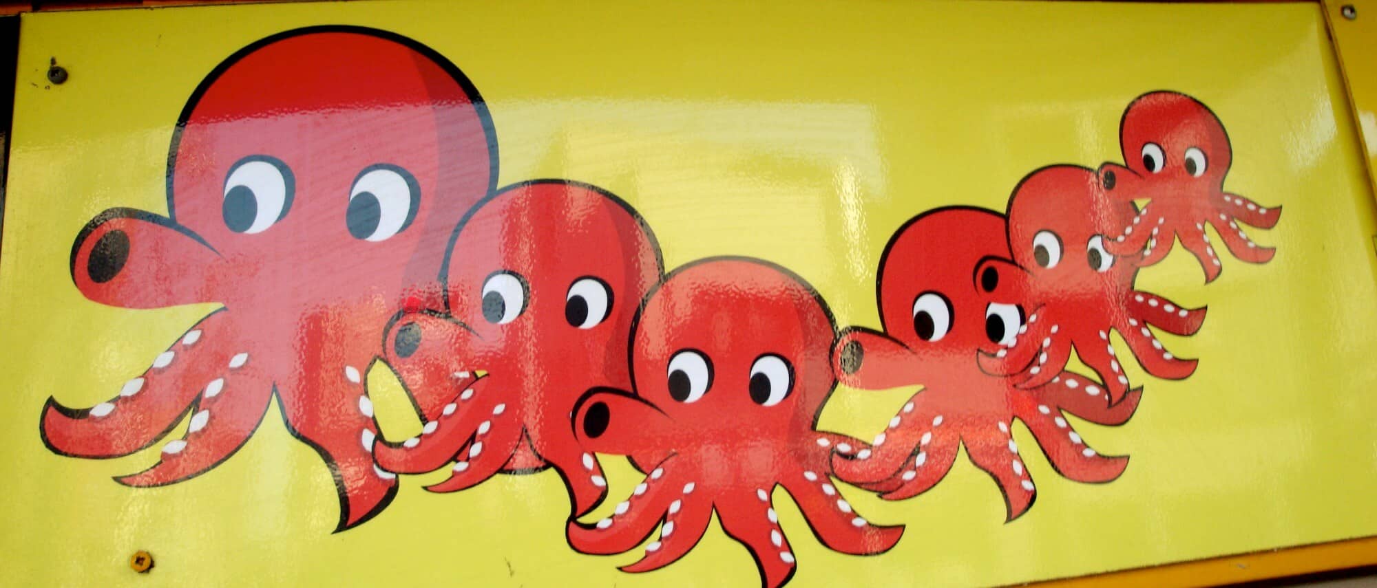 Takosign | Arigato Travel