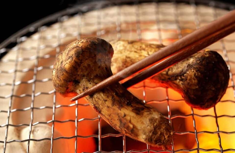 Time for Fall – Your Ultimate Guide to Japan in the Autumn Season ...