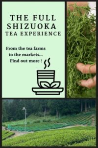 Tea Farm to Market: The Full Shizuoka Tea Experience | Arigato Travel