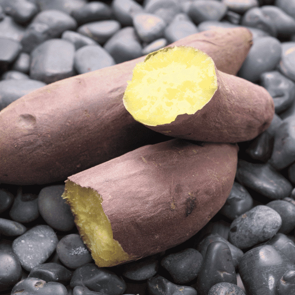 A TASTE OF AUTUMN IN JAPAN: TOP 5 RECOMMENDED FOODS | Arigato Travel