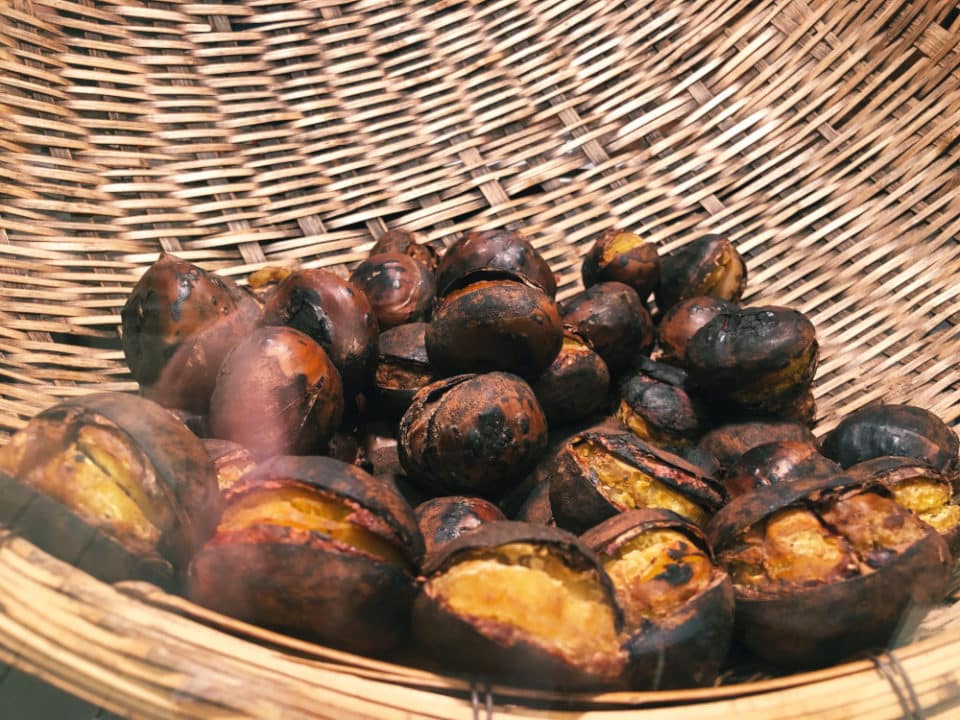 Japanese Chestnuts: a Reason for the Season to Enjoy this Nutty Treat ...