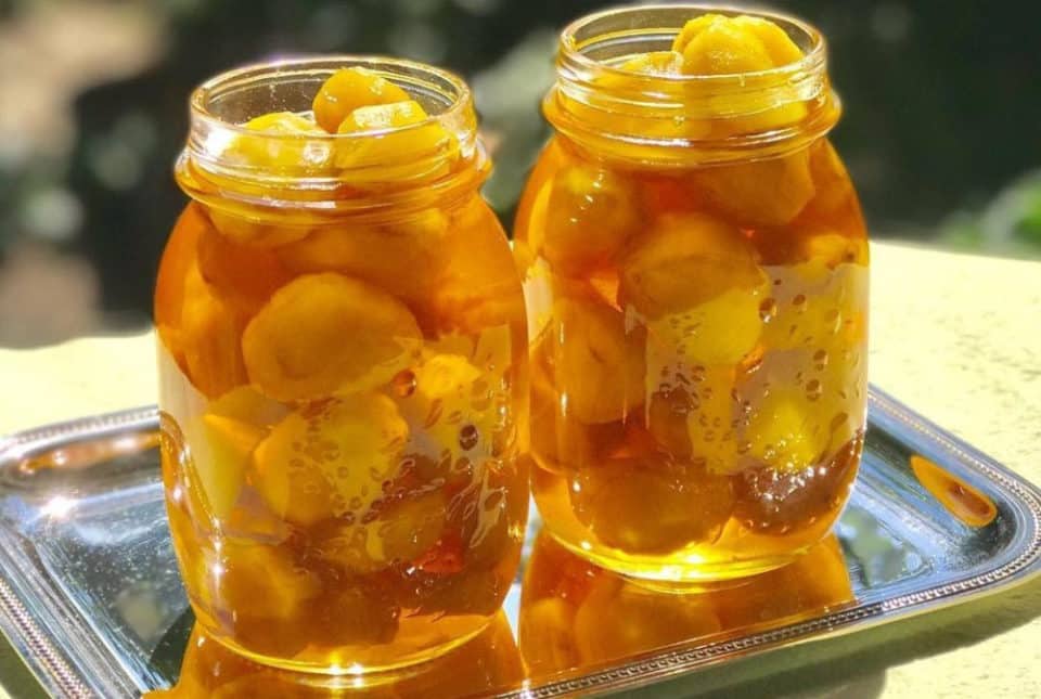 Japanese Chestnuts: a Reason for the Season to Enjoy this Nutty Treat ...