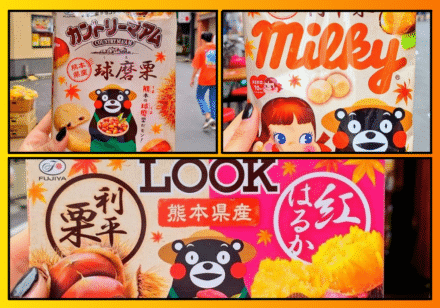 Japanese Chestnuts: a Reason for the Season to Enjoy this Nutty Treat ...