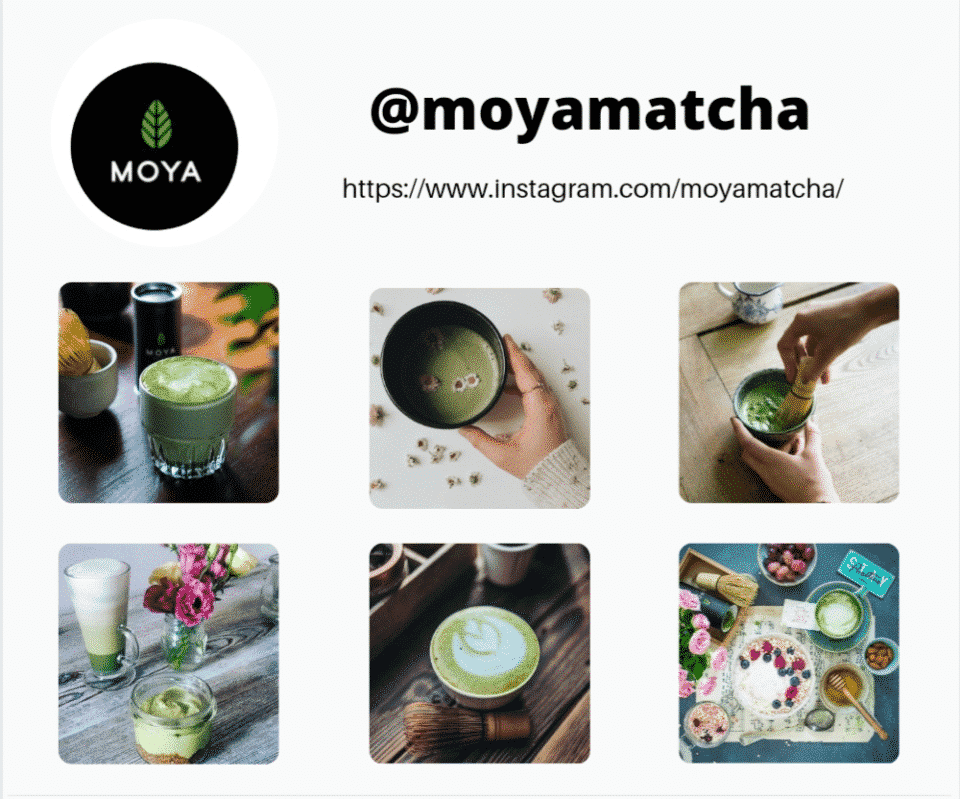 Do you love Japanese tea? – Collection of amazing Instagram accounts to ...