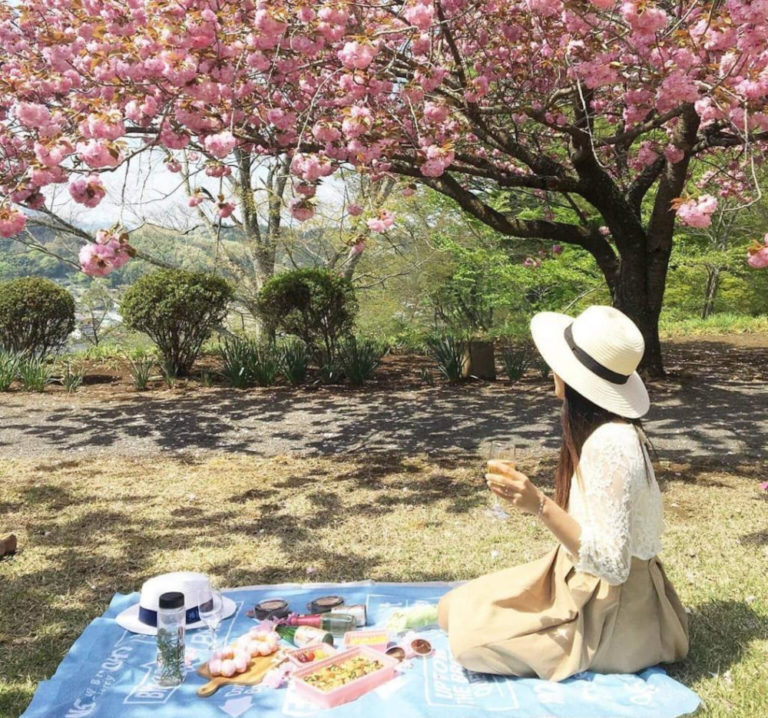 10 reasons why you should visit Japan during the Spring season ...