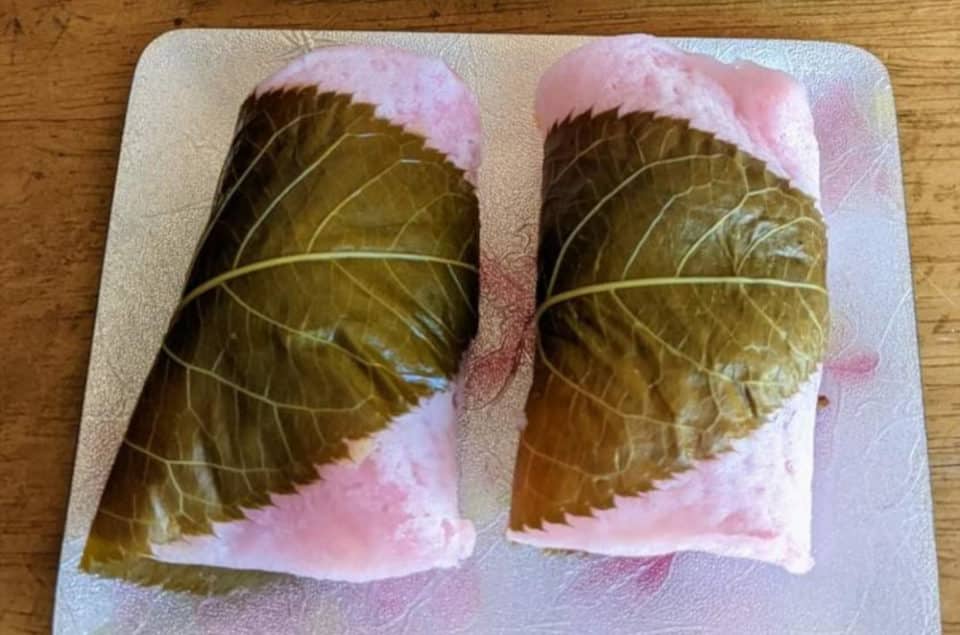 10 reasons why you should visit Japan during the Spring season ...