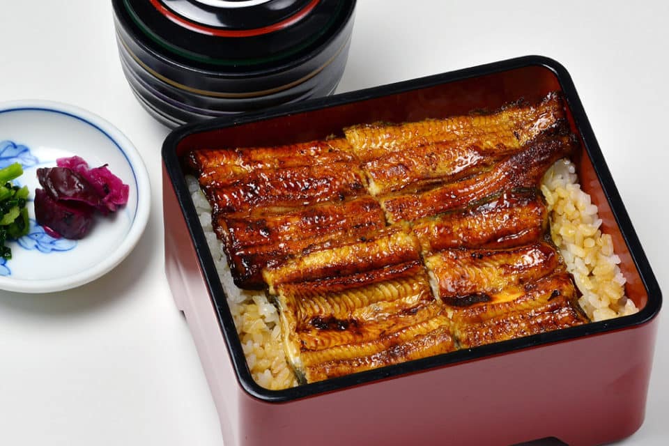 Donburi: A Satisfying and Delicious One Bowl Meal | Arigato Travel