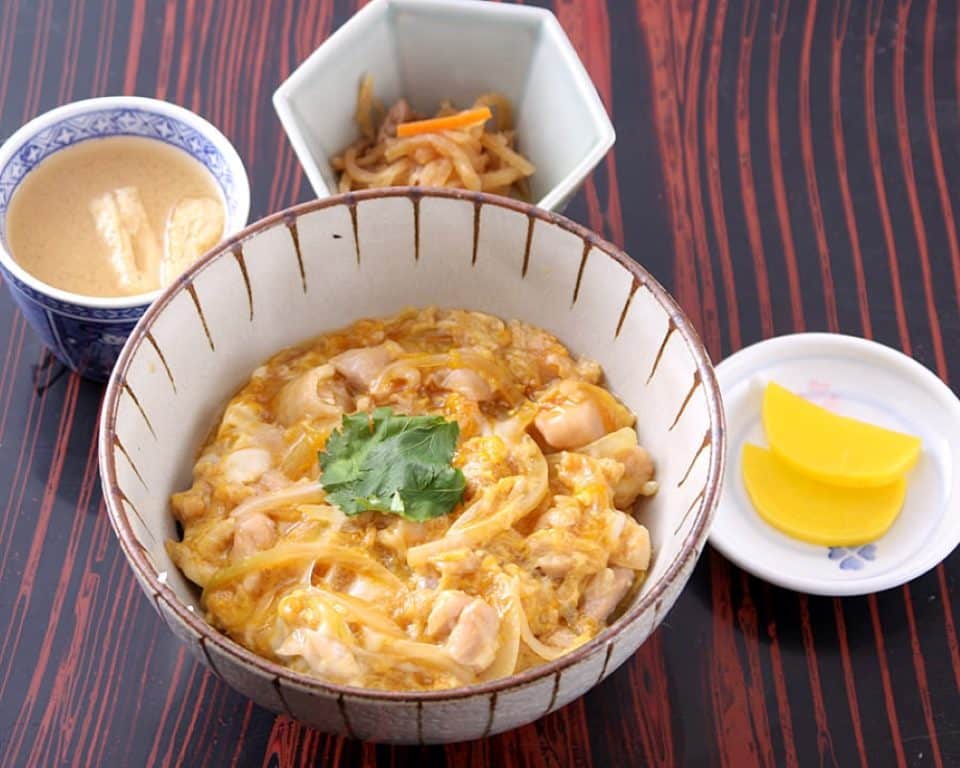 Donburi: A Satisfying and Delicious One Bowl Meal | Arigato Travel