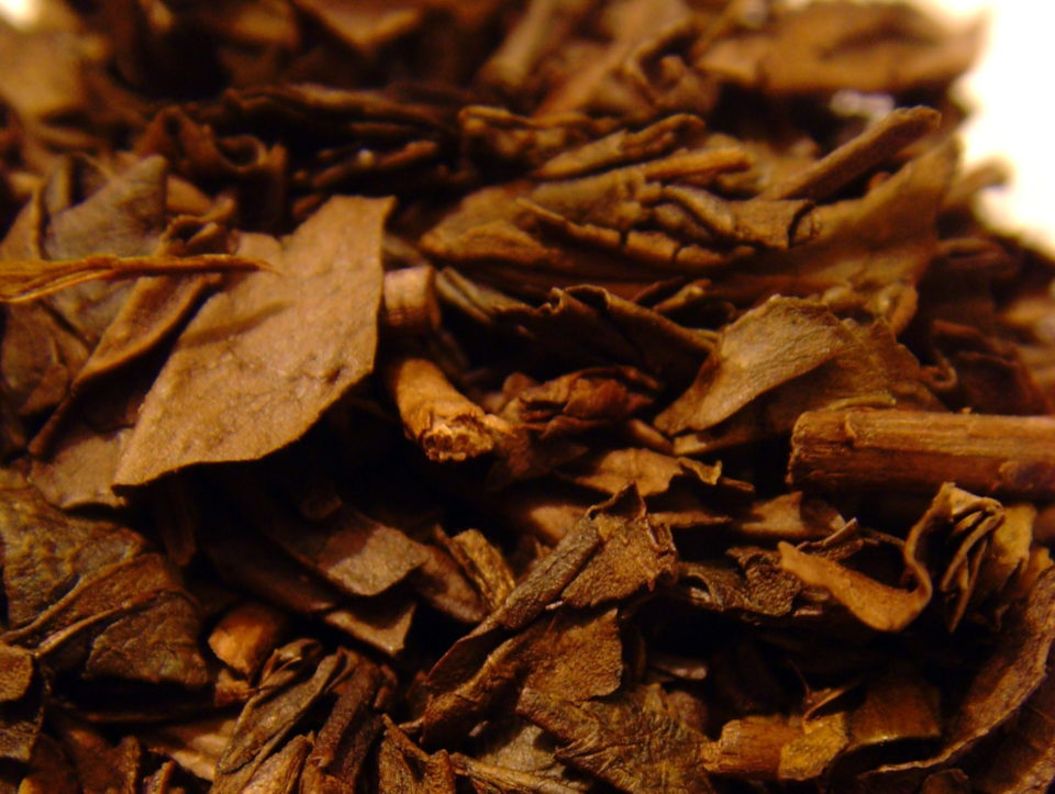 A GUIDE TO DELICIOUS GREEN TEA FOOD PAIRINGS | Arigato Travel