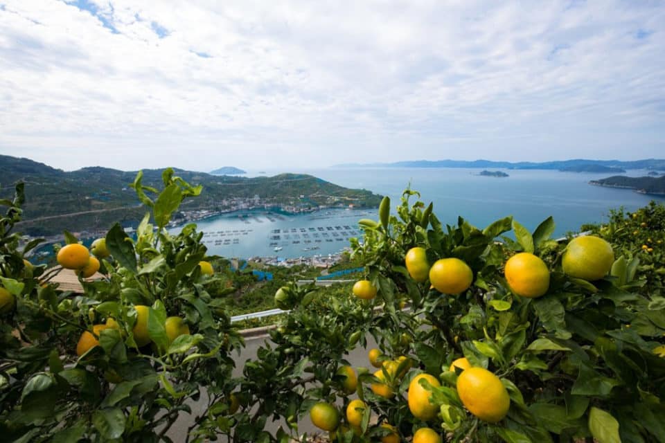 Japan’s Ultimate Bucket List: Explore all 47 Prefectures and Plan Your ...