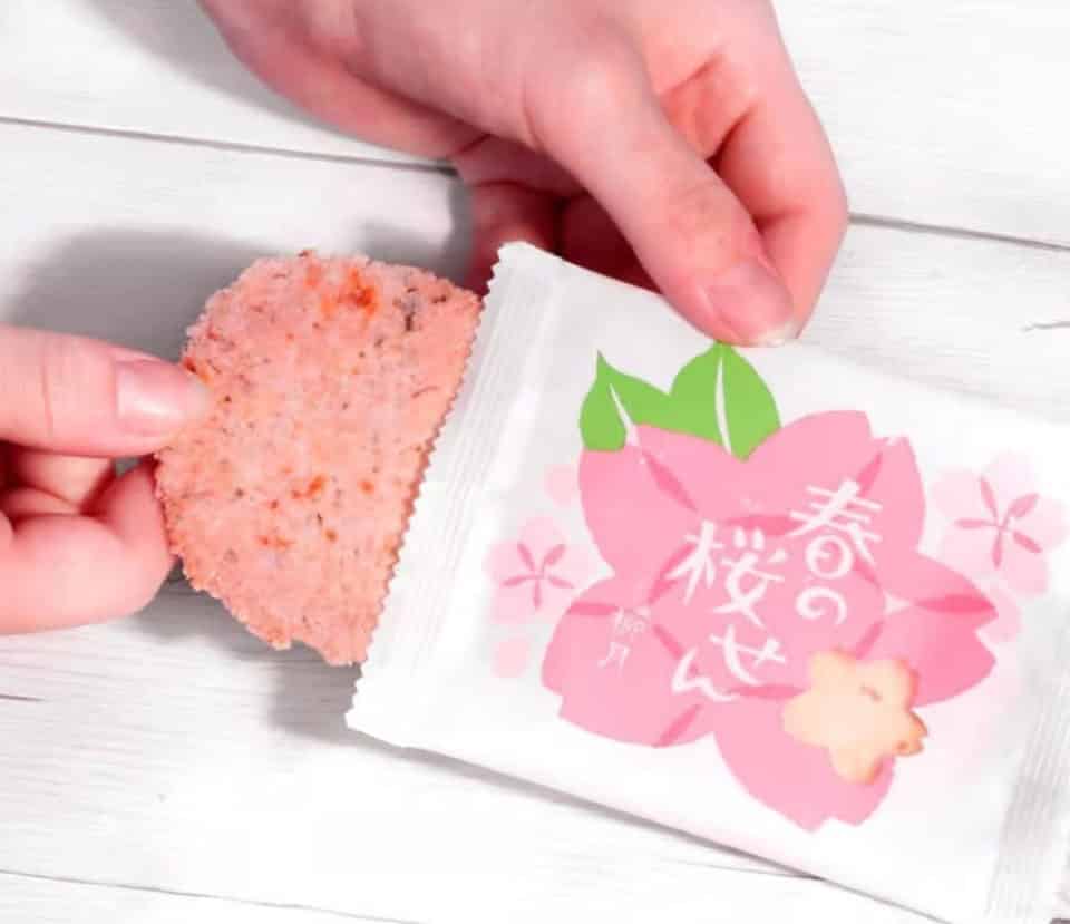 Sakura season: all the delicious themed treats, both salty and sweet ...