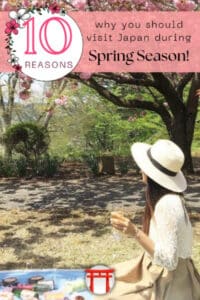 10 reasons why you should visit Japan during the Spring season ...