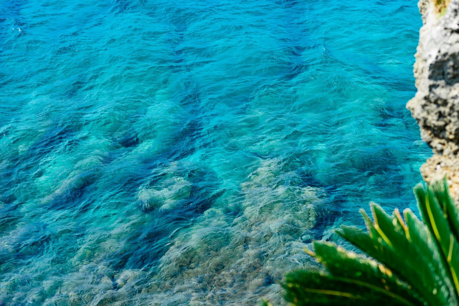 Here are 10 reasons why you should visit Japan during the Summer season ...