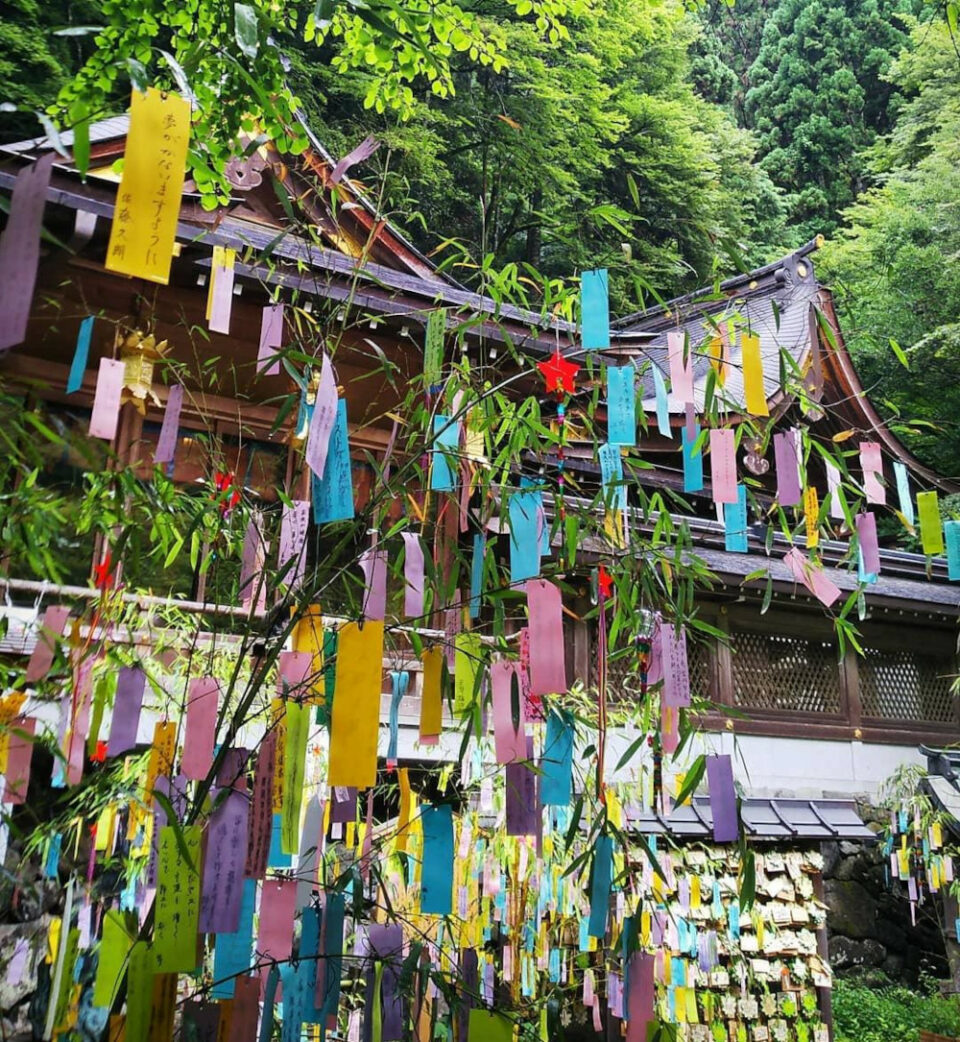 Here are 10 reasons why you should visit Japan during the Summer season ...