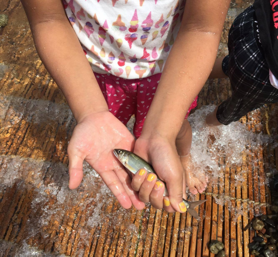 10 Best Summer Activities in Japan | Arigato Travel