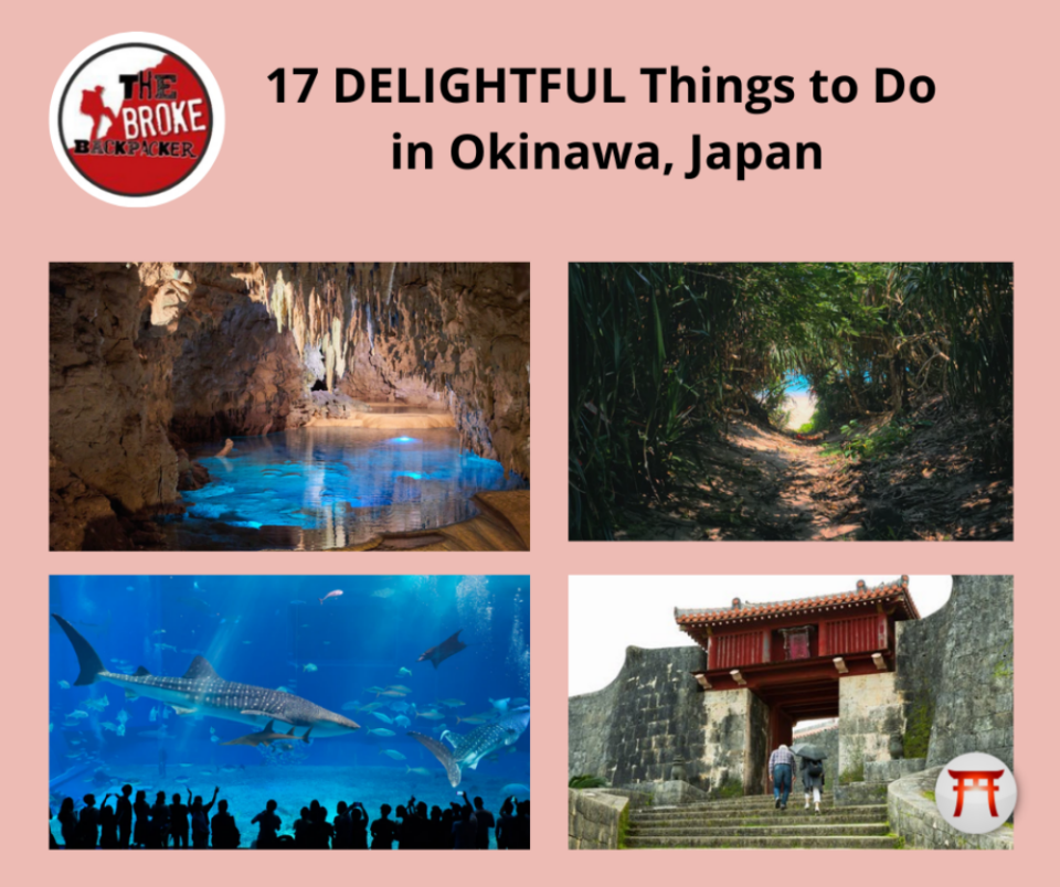 Plan Your Trip to Okinawa with these 6 Articles: Fun, Food and More ...