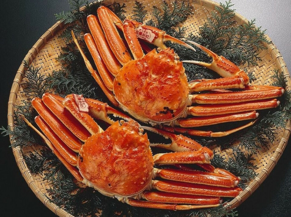 5 foods you must try on a Visit to Tottori prefecture! | Arigato Travel