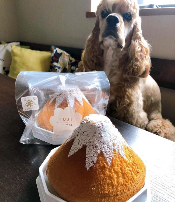 Climb to great heights with Mount Fuji treats. Don’t even think twice ...