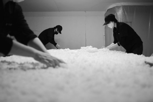 Takanome Sake: Interview with a luxury Japanese sake maker | Arigato Travel