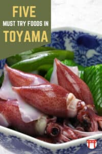 5 Must Try Foods in Toyama | Arigato Travel