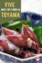 5 Must Try Foods in Toyama | Arigato Travel