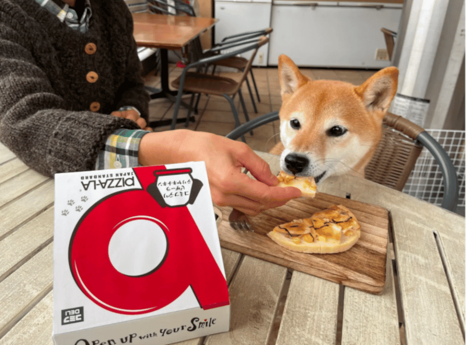 Pizza in Japan: From Traditional Classics to Modern Innovations ...