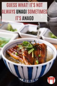 Guess what: it’s not always Unagi, sometimes it’s Anago! | Arigato Travel