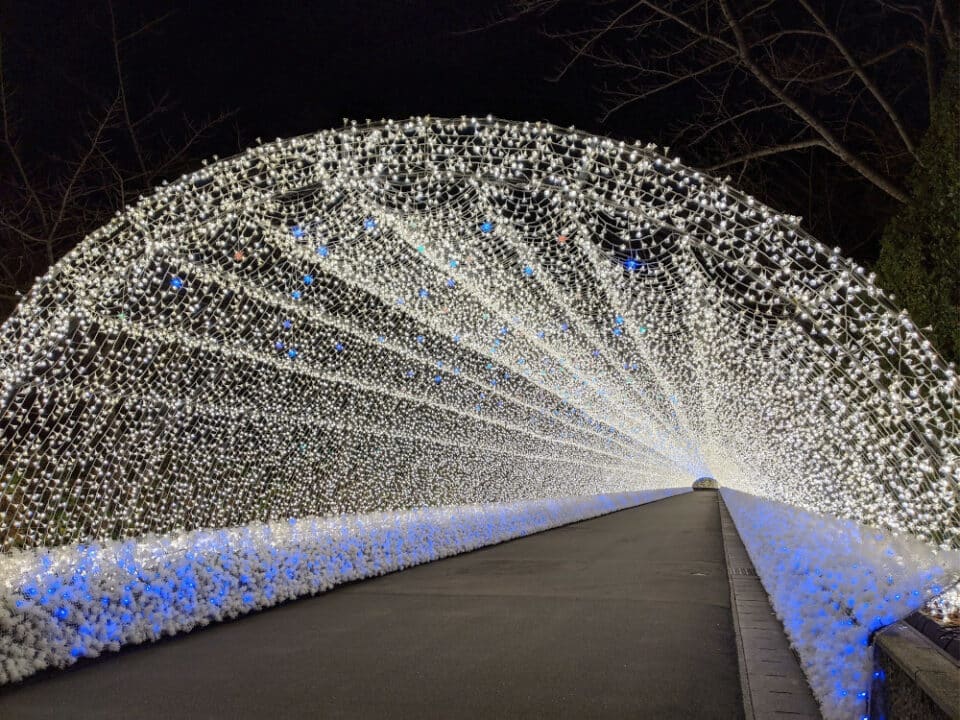 10 reasons why you should visit Japan during the Winter season ...