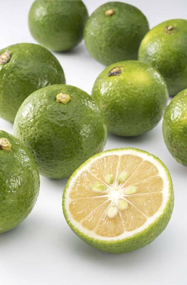 Kabosu: First-rate fruit of Oita Prefecture | Arigato Travel