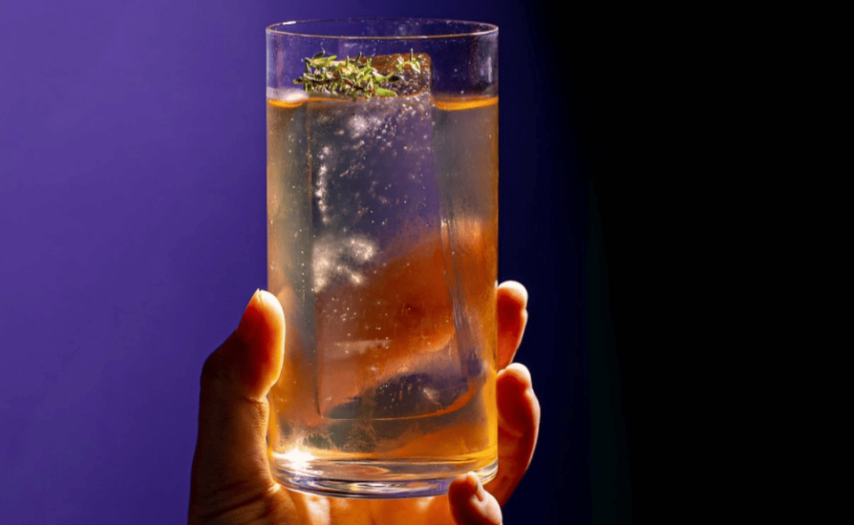 HIGHBALL: THE POPULAR WHISKY COCKTAIL IN JAPAN | Arigato Travel