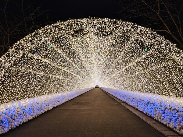 Navigating Nagoya: Explore Aichi Prefecture’s Capital | Arigato Travel