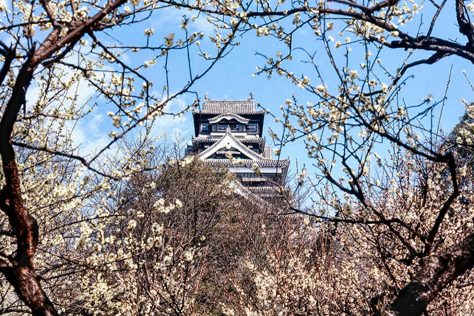 EXPLORING CASTLE CULTURE IN JAPAN | Arigato Travel