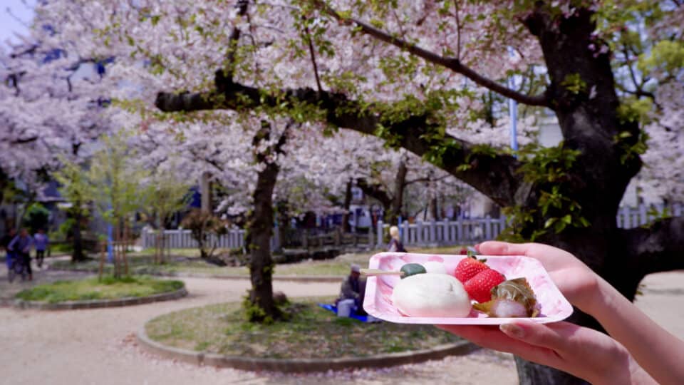 2026 Daytime Hanami (Cherry Blossom) Tour: Osaka | Arigato Travel