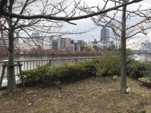 Osaka’s Calm, Beautiful Waterfront – Nakanoshima and Tenmabashi ...