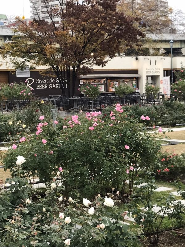Osaka’s Calm, Beautiful Waterfront – Nakanoshima and Tenmabashi ...