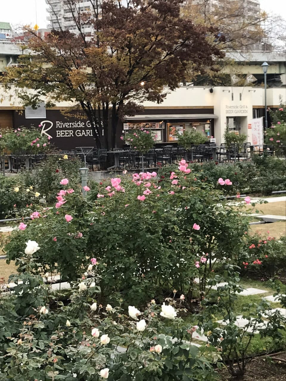 Osaka’s Calm, Beautiful Waterfront – Nakanoshima and Tenmabashi