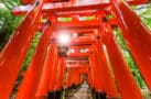 The History of Fushimi (Kyoto), the Temple of ‘’Red Gates’’ | Arigato ...