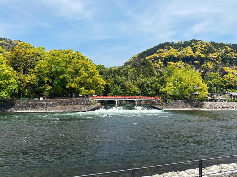 4 MAJOR TEA REGIONS OF JAPAN PART 4: KYOTO AND UJI: ALL THINGS SHADED ...