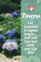 Tsuyu: Let summer begin…but not too hot and NOT dry! | Arigato Travel