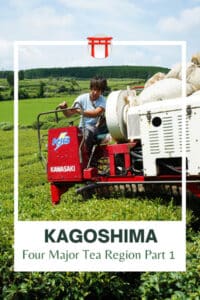4 MAJOR TEA REGIONS OF JAPAN PART 1, KAGOSHIMA: SENCHA FOR EVERYONE ...