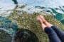 Tsuyu: Let summer begin…but not too hot and NOT dry! | Arigato Travel