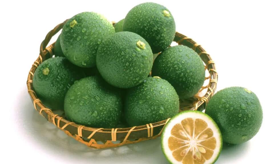 5 famous local dishes to try while traveling to Oita | Arigato Travel