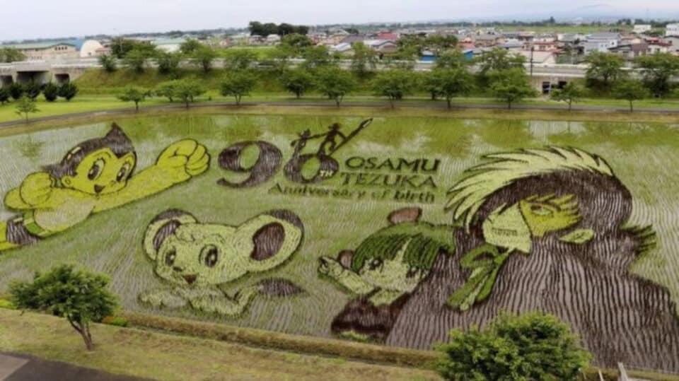 Rice Paddy Art: A Sustainable Way to Celebrate Nature