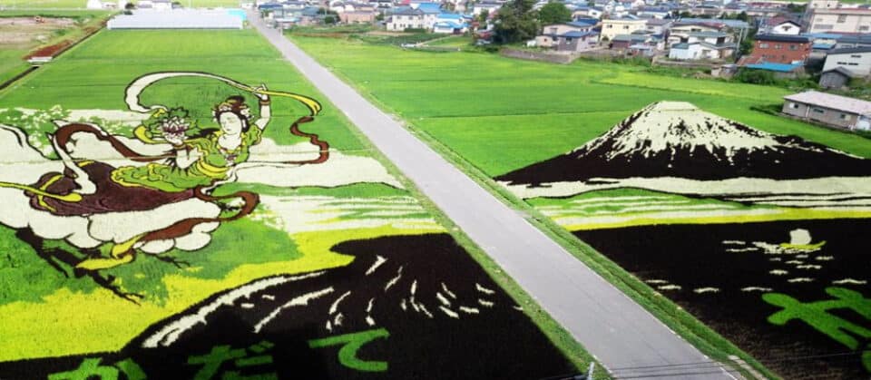 Rice Paddy Art: A Sustainable Way to Celebrate Nature | Arigato Travel