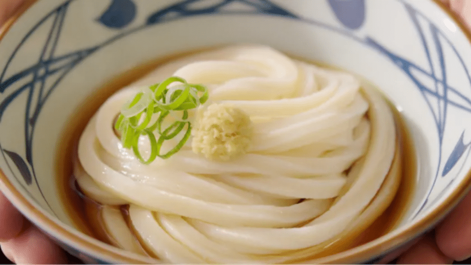 The 5 Must-Try Dishes in Wakayama