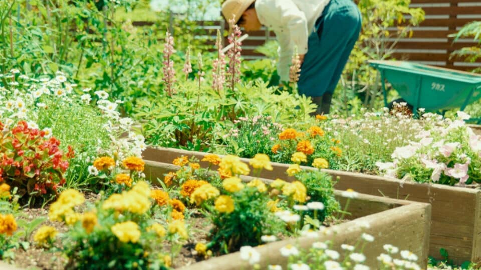 Takasu Tile: Amazing Youtube, Japanese Countryside Adventures ...