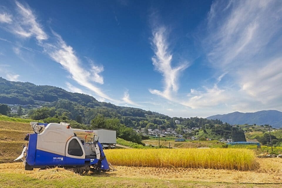 SHINMAI: IT’S TIME TO SAVOR NEWLY HARVESTED RICE | Arigato Travel