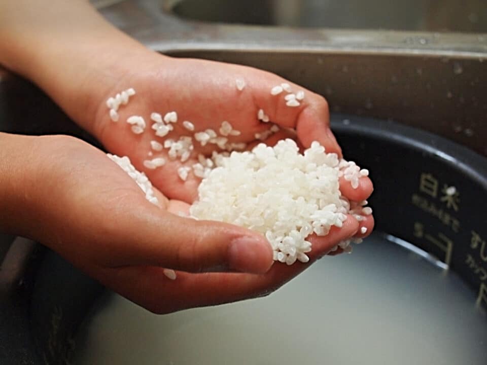 SHINMAI: IT’S TIME TO SAVOR NEWLY HARVESTED RICE | Arigato Travel