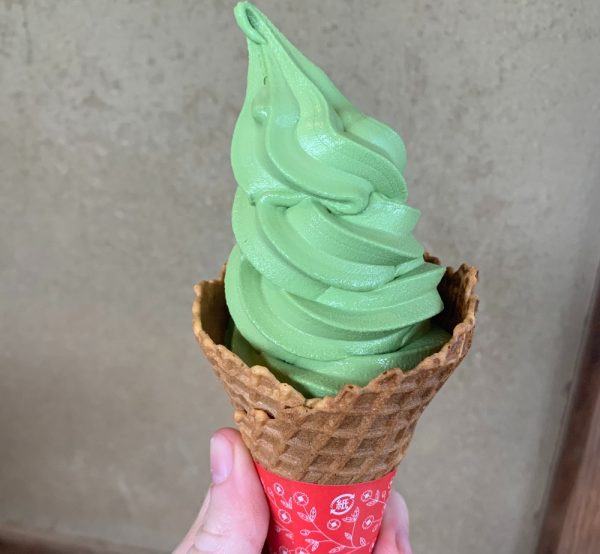 The Art of Matcha: Understanding and Appreciating Japan’s Famous Green ...